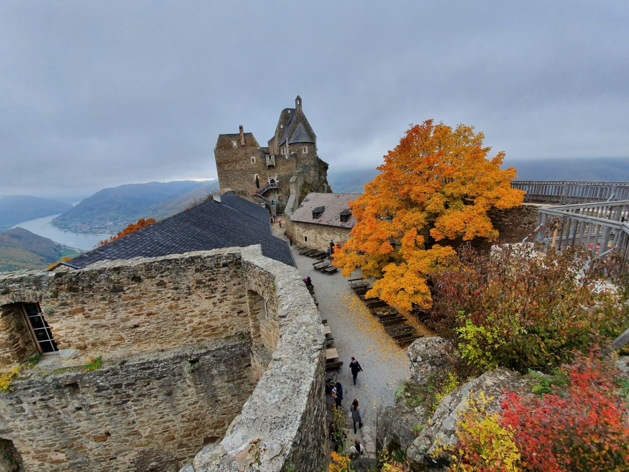 Burgruine Aggstein – Wiener Prater-Honig – Bio-Honig Wien – Bio-Imkerei ...