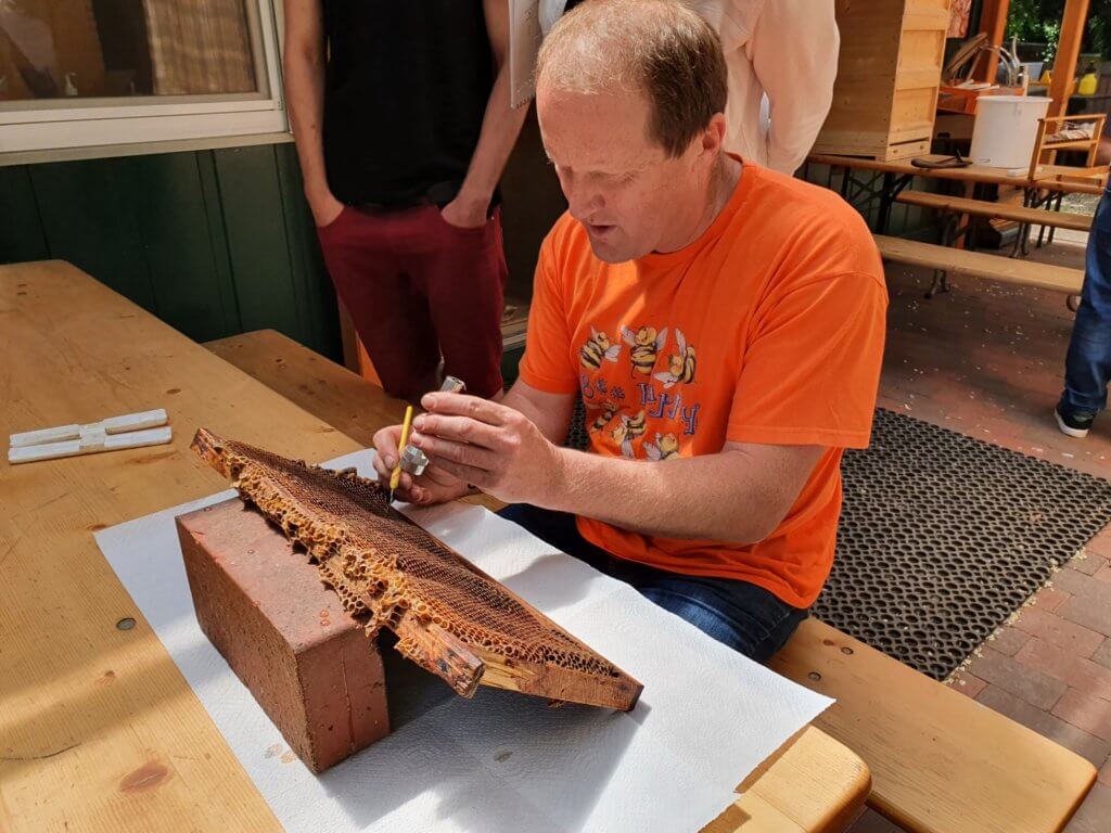 Imkermeister Hans Fuchs – Wiener Prater-Honig – Bio-Honig Wien – Bio ...